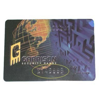 Mul-T-Lock Garrison Key. Cutting Service